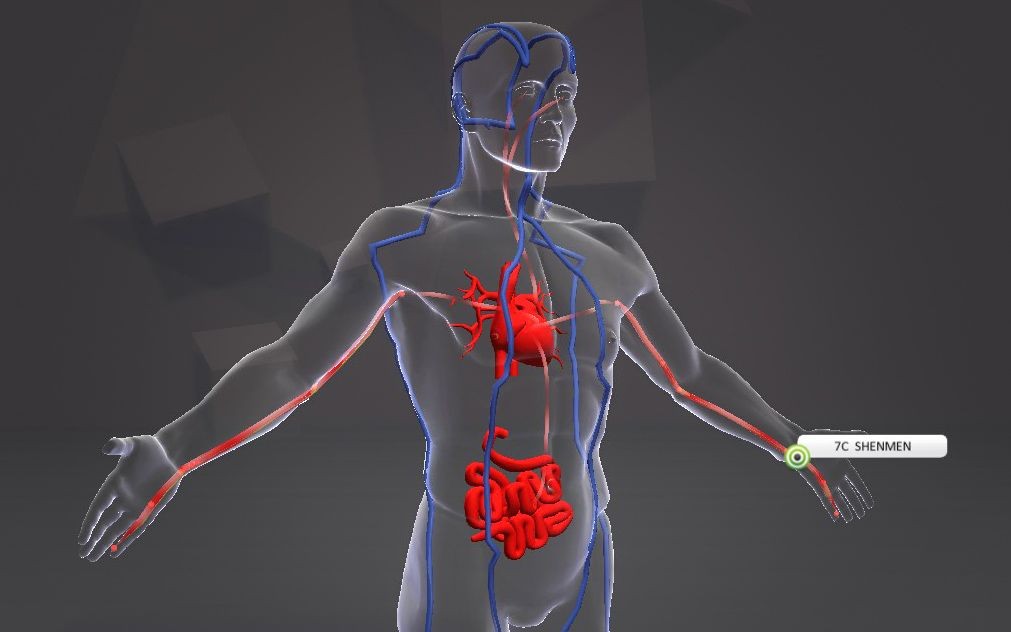 Acupuncture 3D features - The most complete 3D software to learn ...